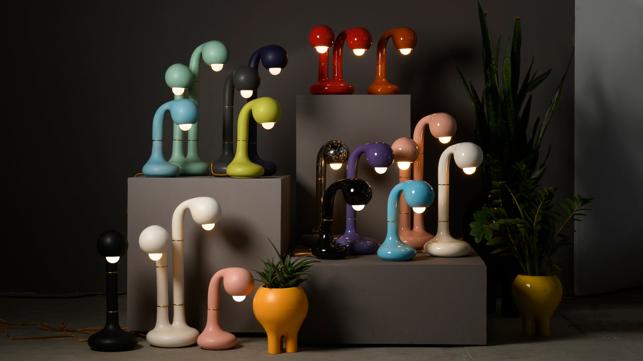 AVAILABLE NOW – ENTLER