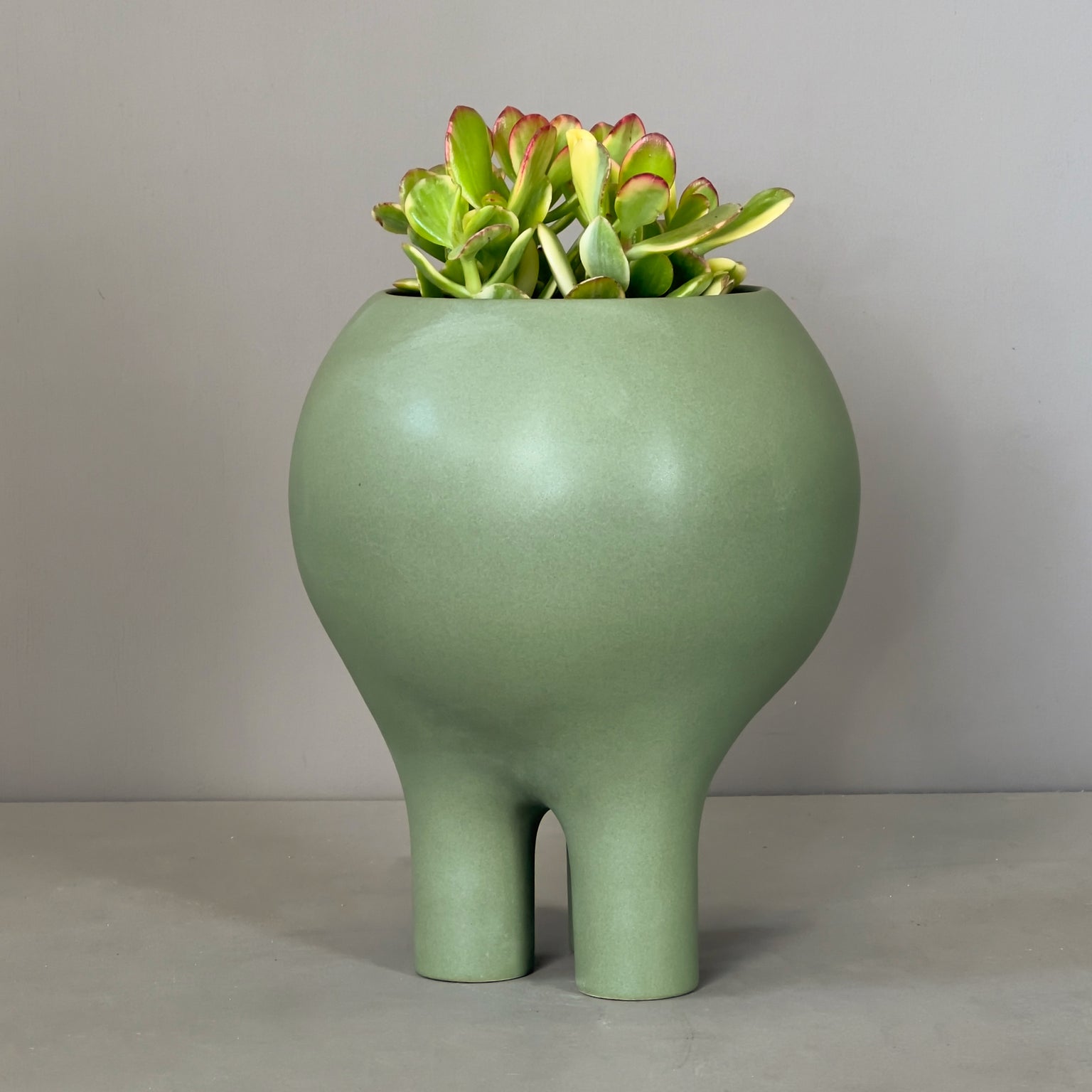 PLANTERS – ENTLER
