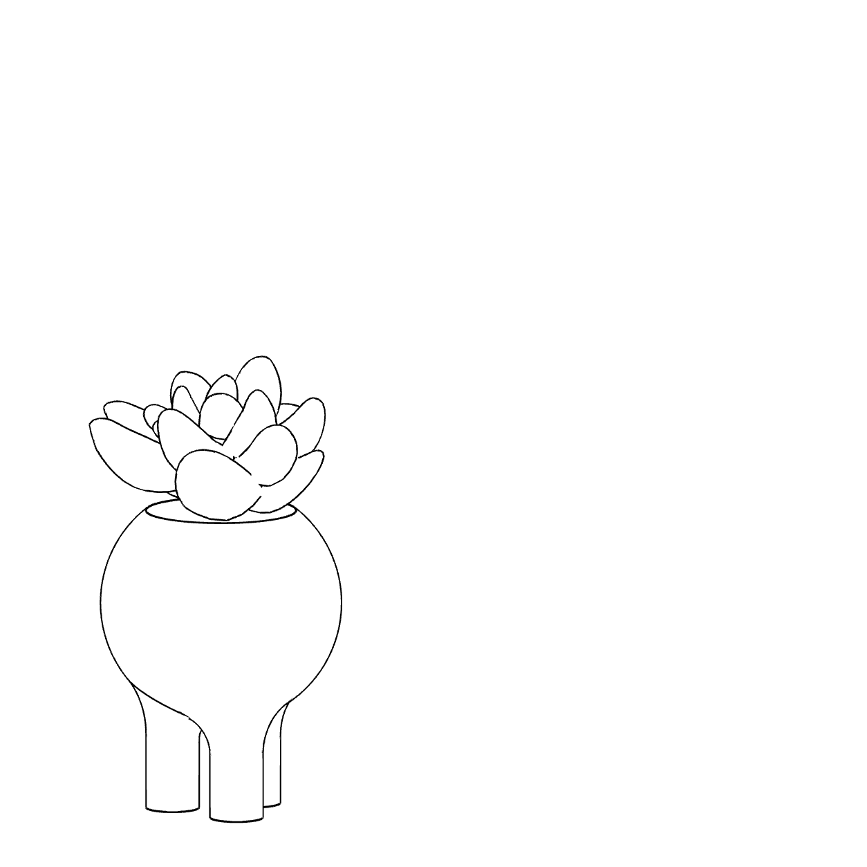 PLANTERS – ENTLER